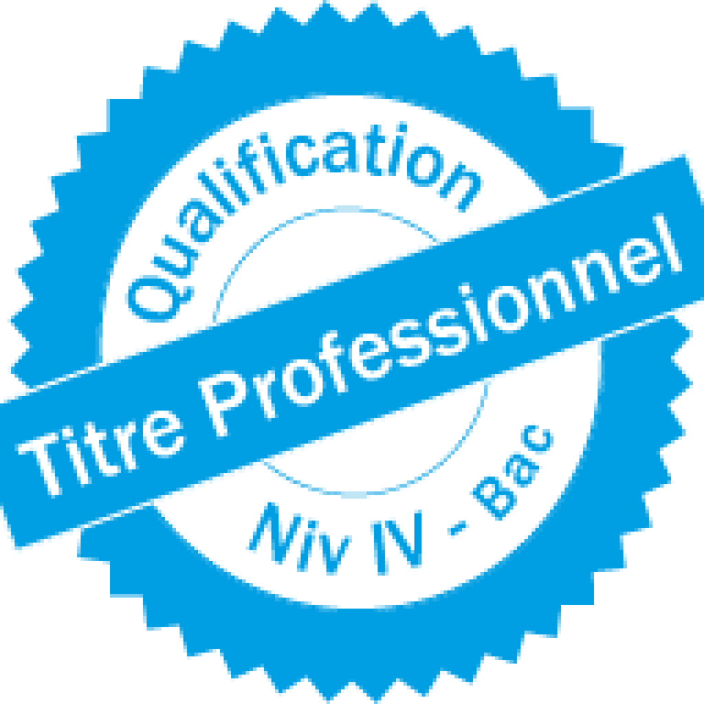 logo titre professionnel